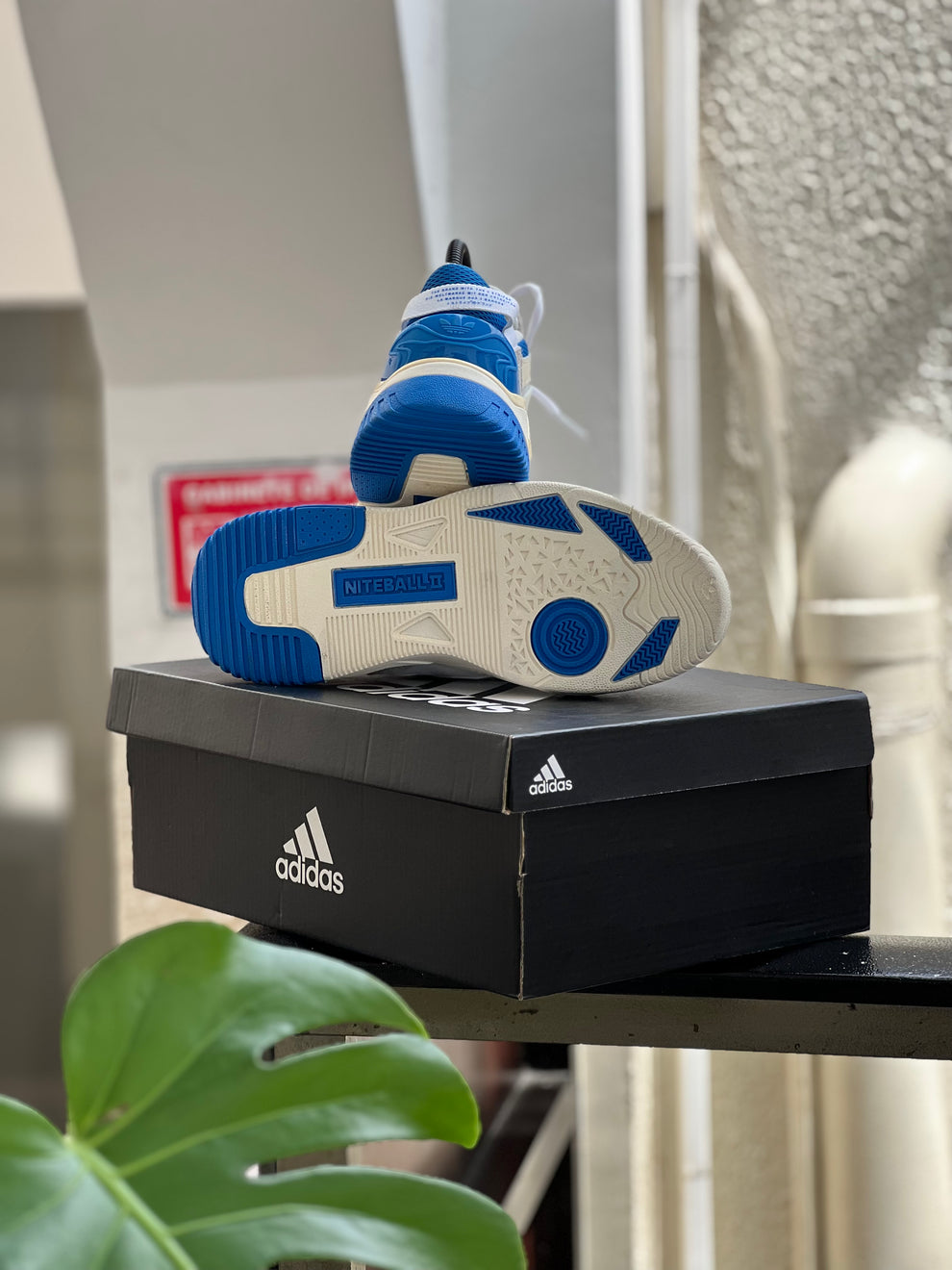 Adidas Nite Ball 2 – workshop